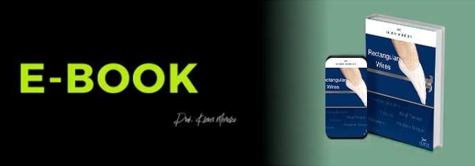 Biomechanics Masterclass - Kleber Meireles - Kleber Meireles